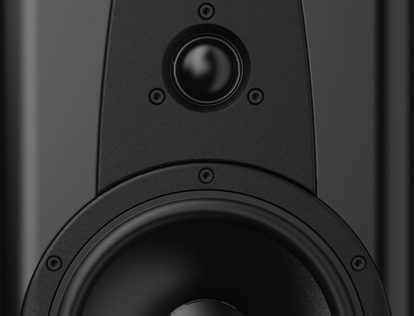 Dynaudio Contour 20 BE | Bookshelf | Dark star