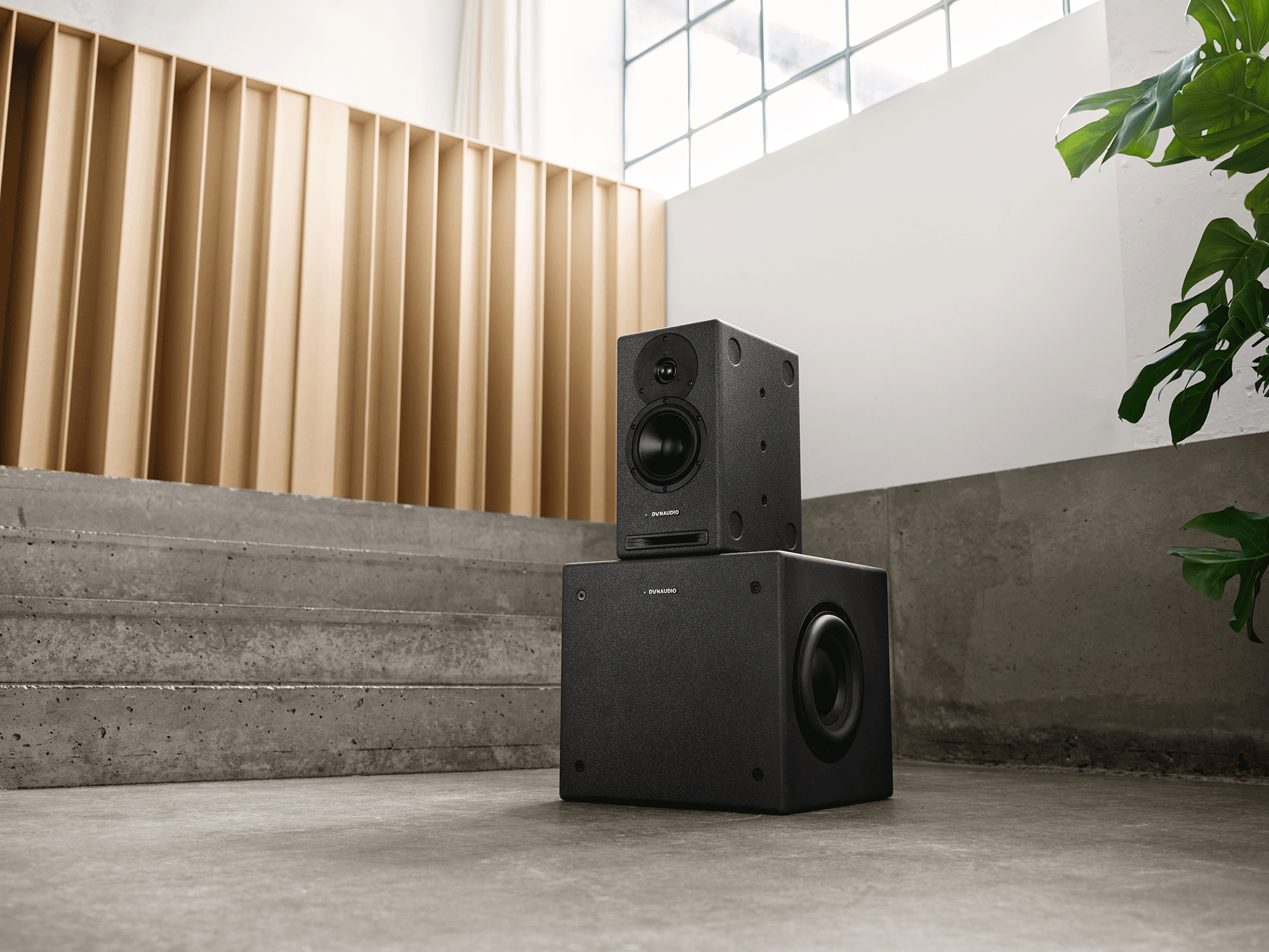 Core Sub Compact | Subwoofer | Big bottom